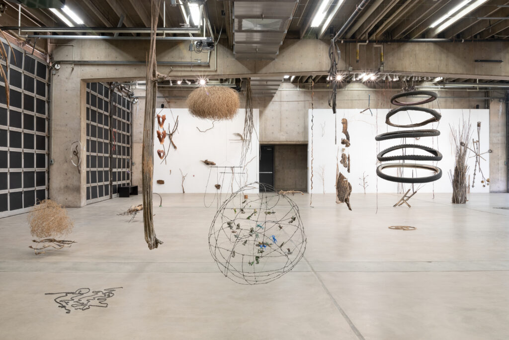 MOCA (Museum of Contemporary Art) Tucson - Arts Foundation for Tucson ...