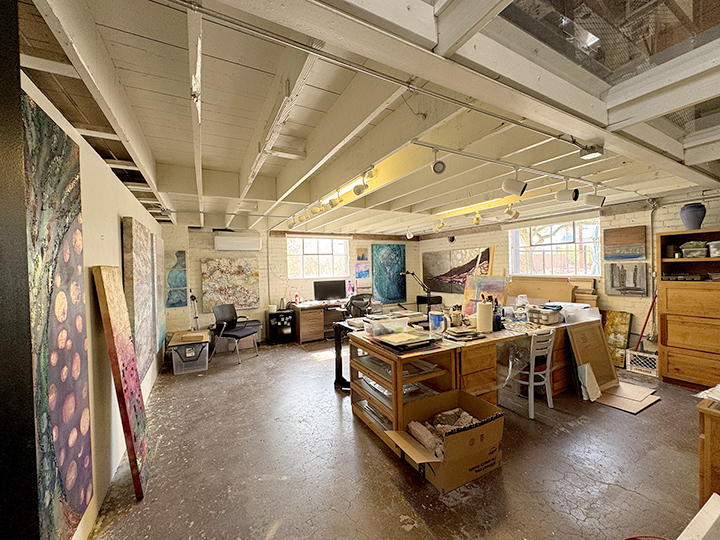 Lisa Scadron - Arts Foundation for Tucson and Southern Arizona