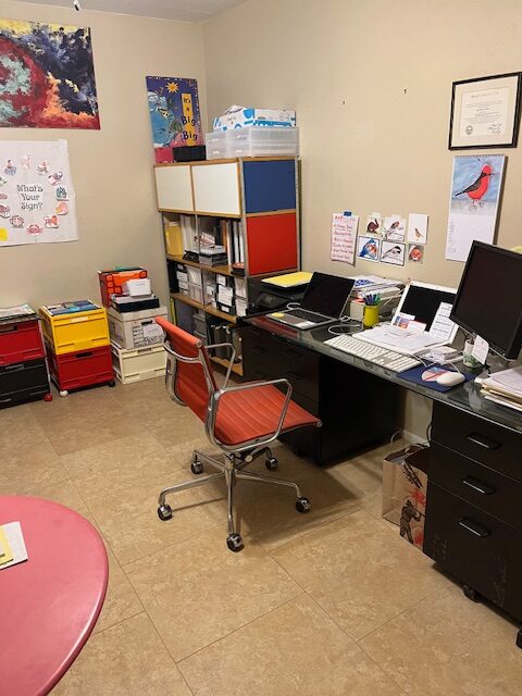 Day 3: Jeanine Colini - Arts Foundation for Tucson and Southern Arizona