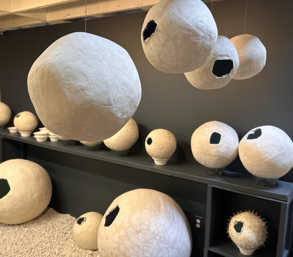 Rani Olson - Arts Foundation for Tucson and Southern Arizona